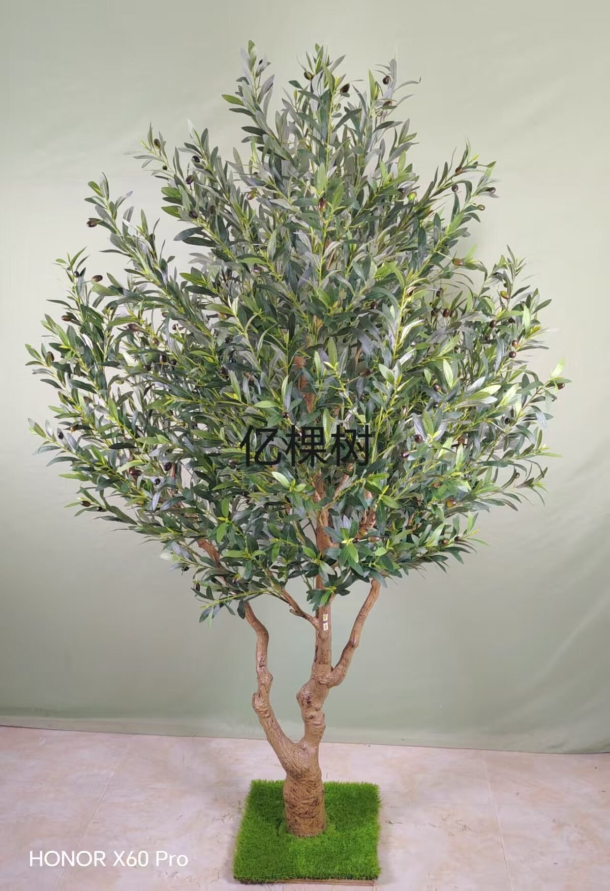 olive tree – everlastingflower.shop
